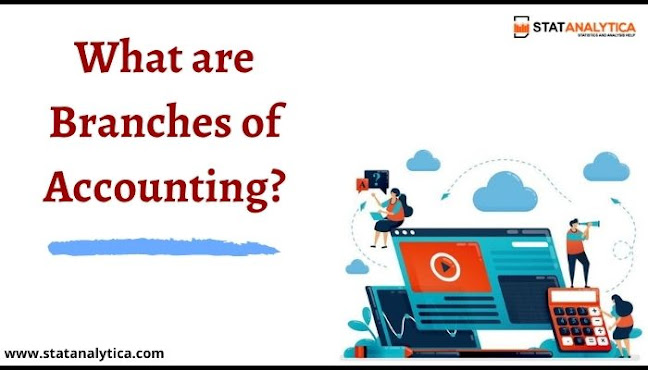 What are Branches of Accounting?