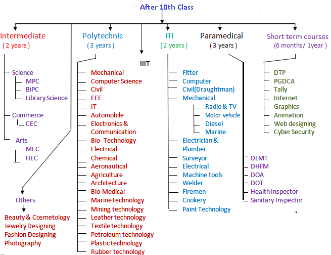 Financial aid and scholarship