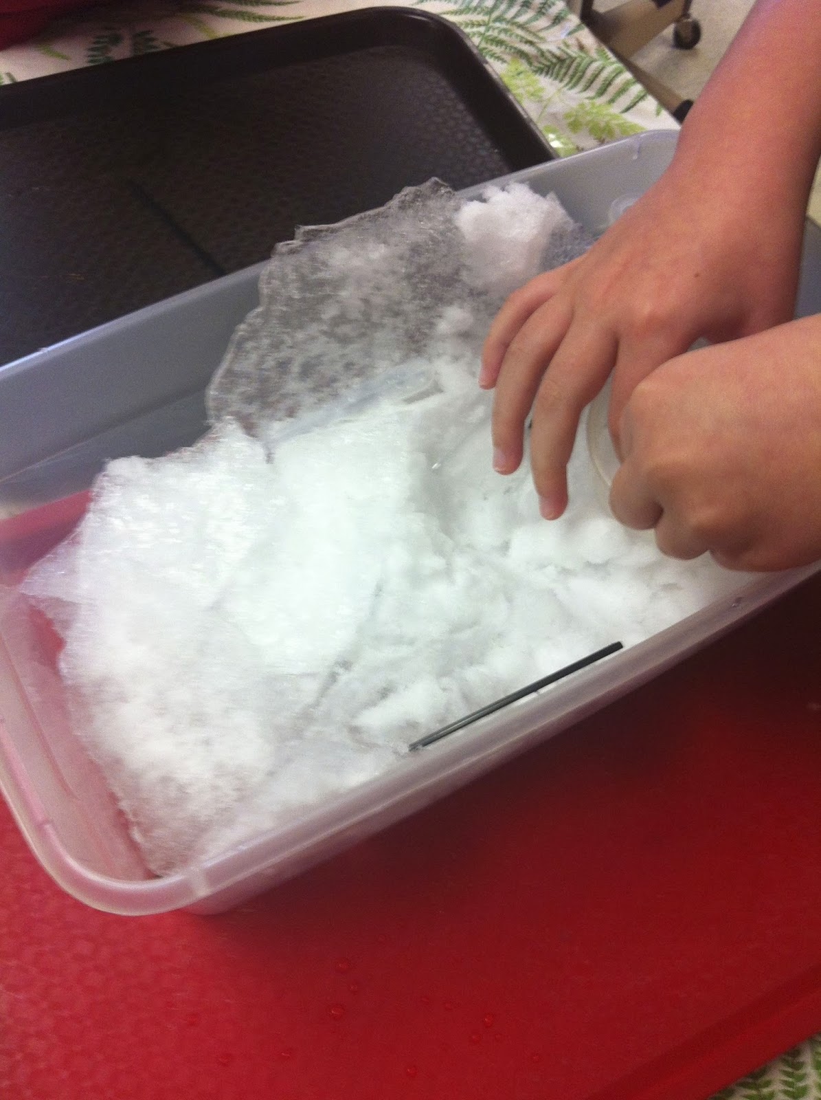 In My Classroom: The Forest and the Trees: Snow Science