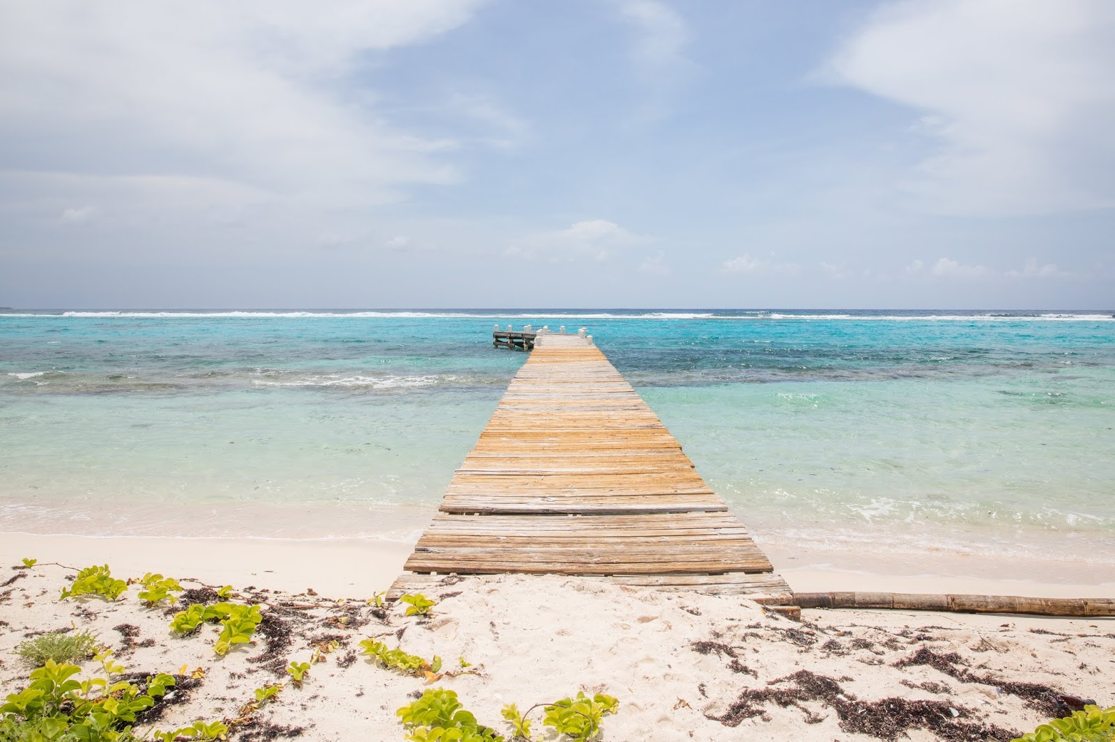 Alice Gostick: Things to do in Grand Cayman - Visit Little Cayman