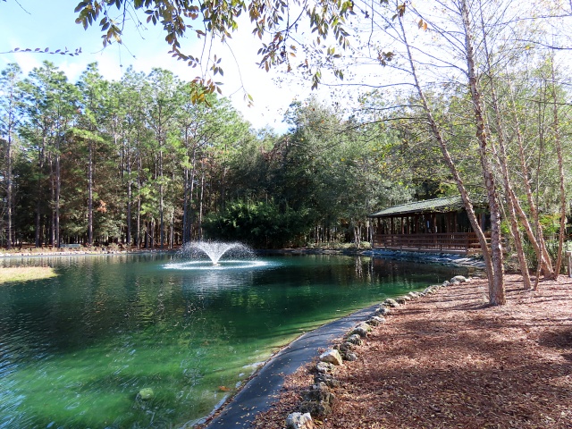 " Welcome to Lavender Dreams ": Let's 'mosey' around Shalom Park