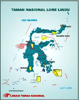 Taman Nasional Lore Lindu | Muhammad Dagri Nizar