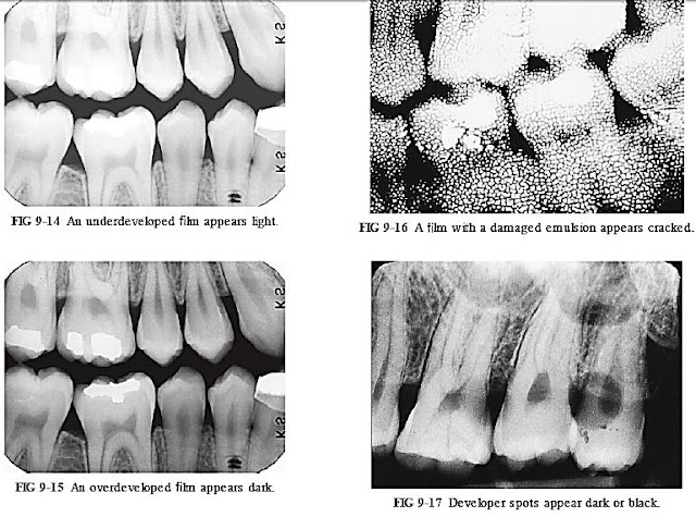 August 2021 - WikiDentia
