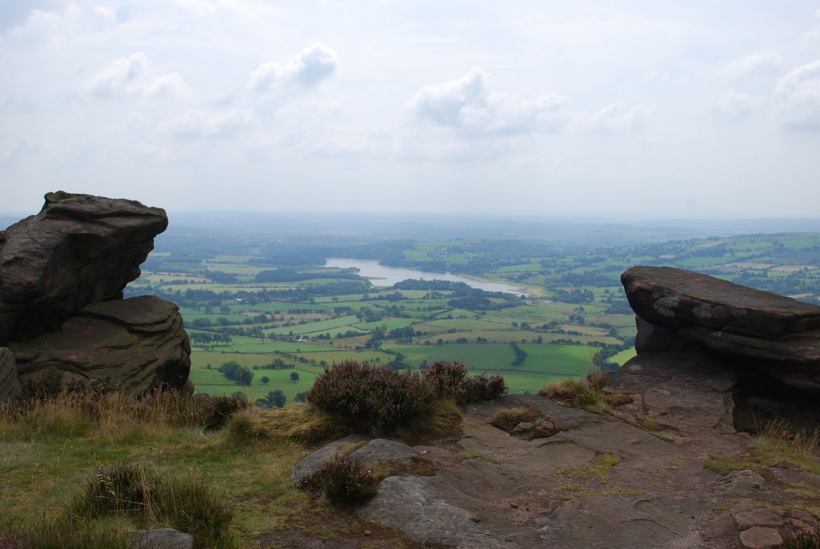 Peter G. Shilston's Blog: The Roaches