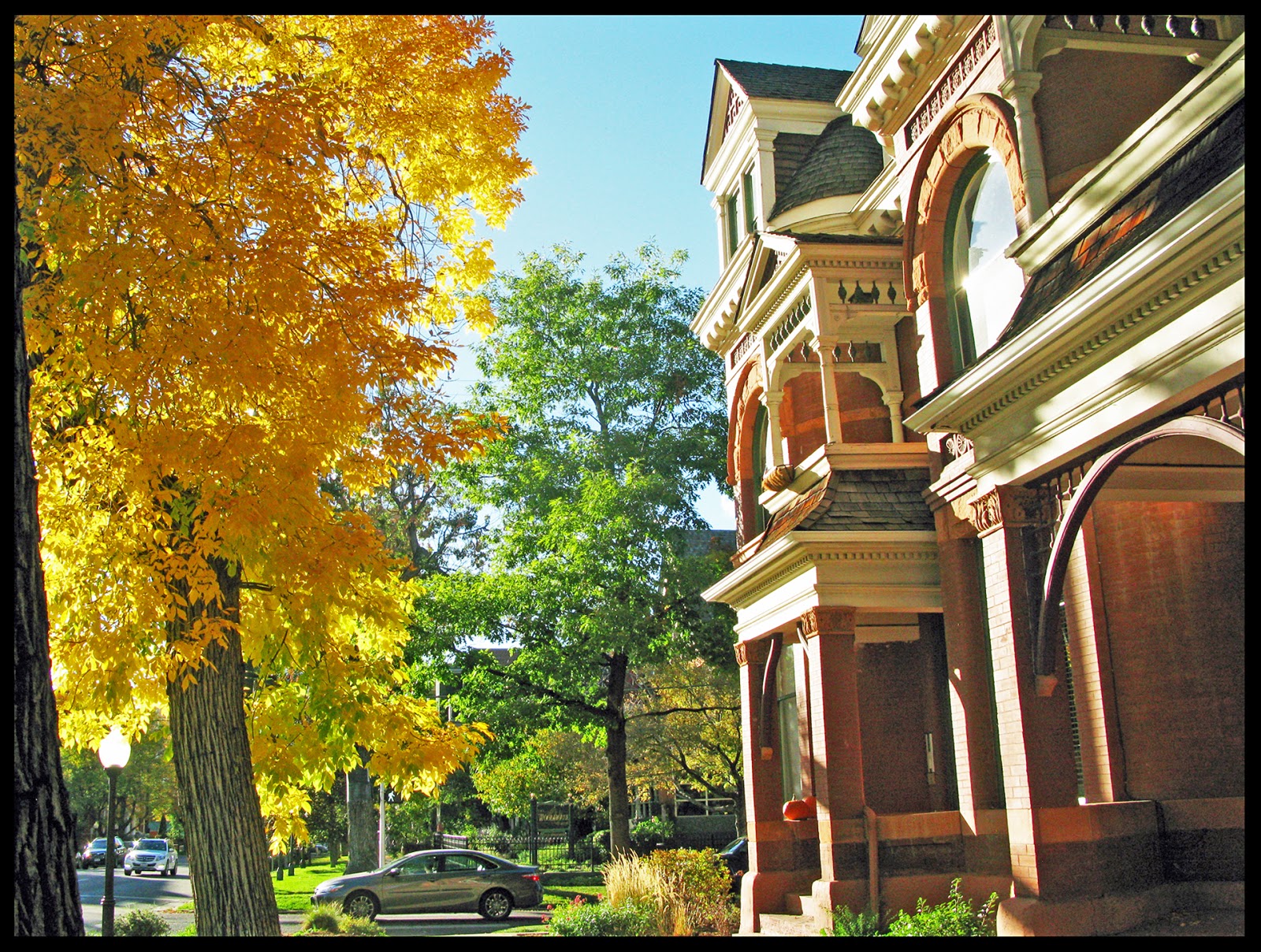 David Hoyt's Blog: Fall In Denver