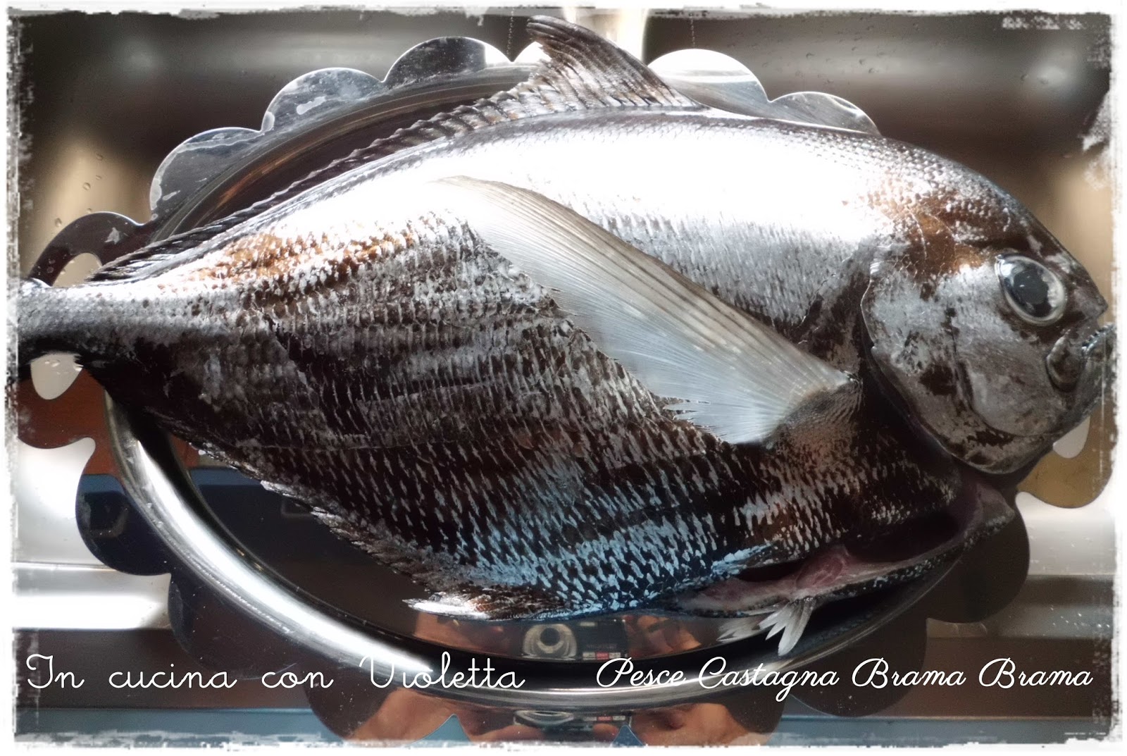 In Cucina Con Violetta: Farfalle con Pesce Castagna Brama Brama