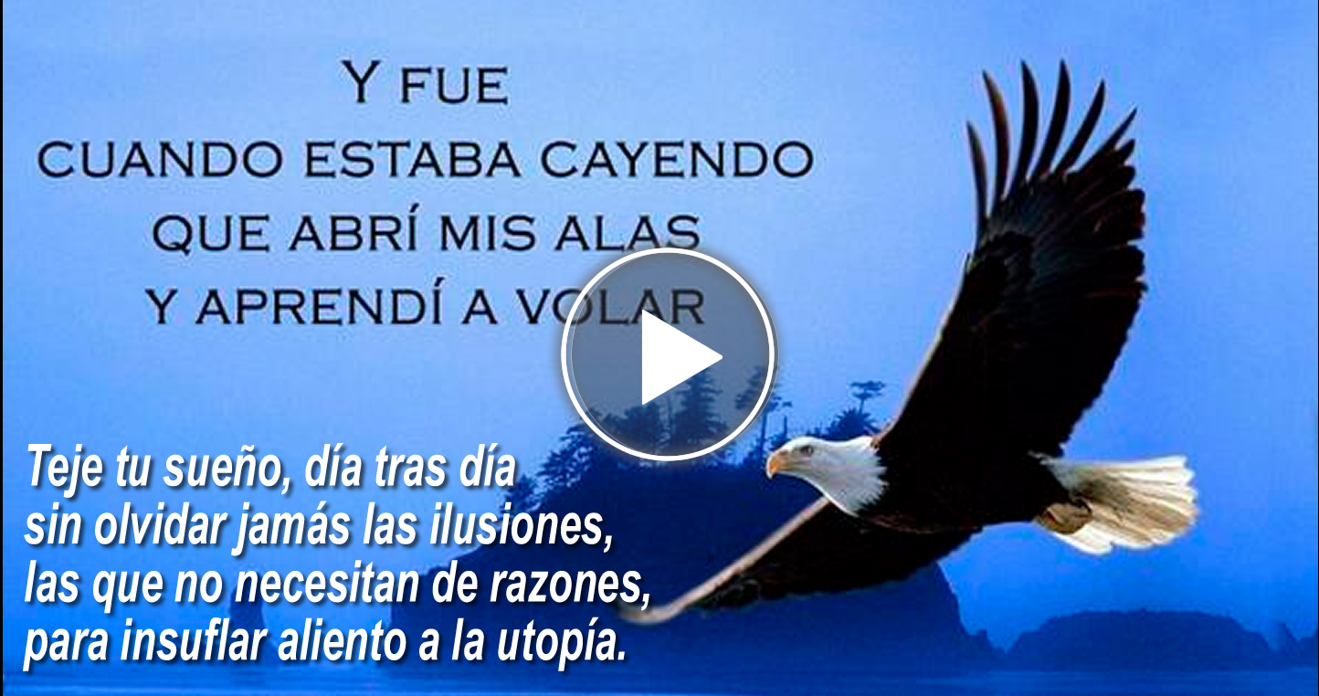 ♫♥ QUIERO VOLAR MUY ALTO ♥♫ Este vídeo nos emotiva a pensar en lo mas ...