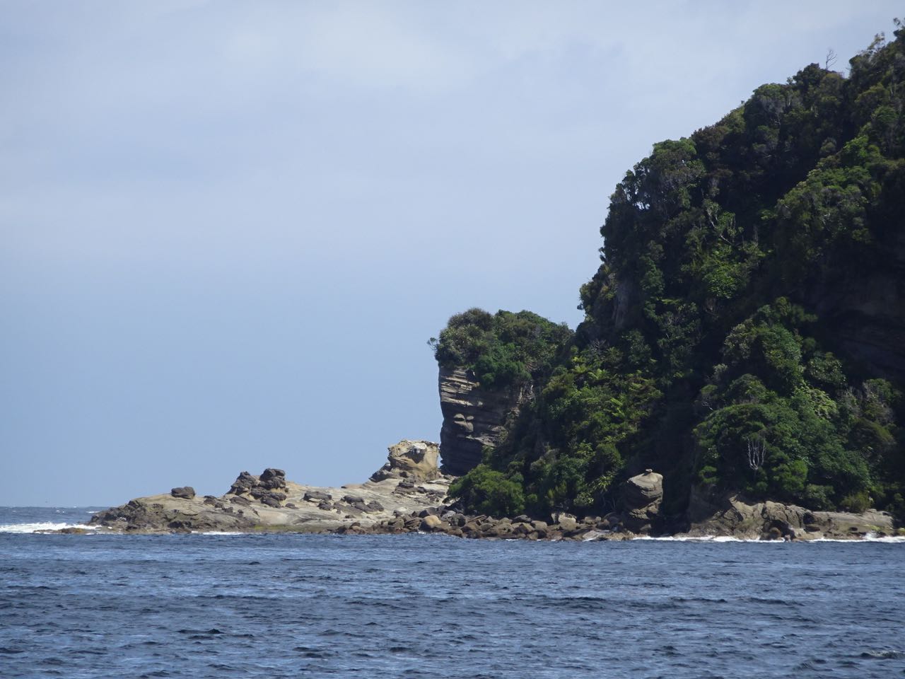 SV Footprint (Begonia): Preservation Inlet (Fiordland)