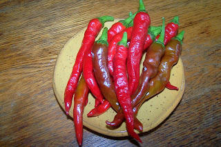 Olive Forge: Pepper Jelly and the Scoville Heat Index