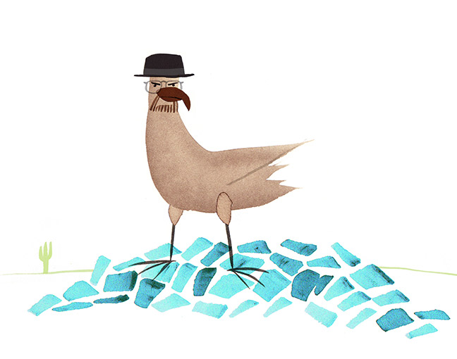 Ornithoblogical: #603: black-capped walter white