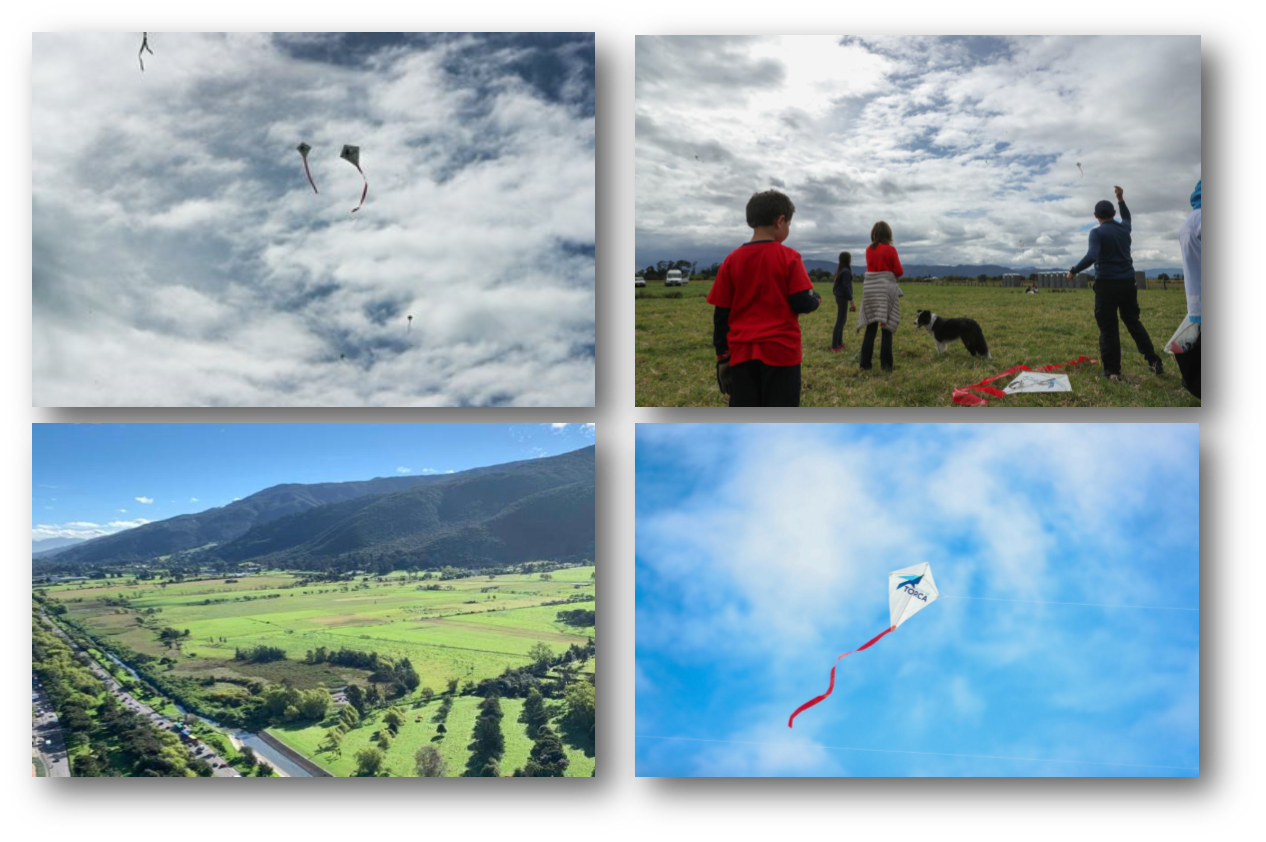 El Usuario de la Salud: El Parque Metropolitano Guaymaral será el más ...