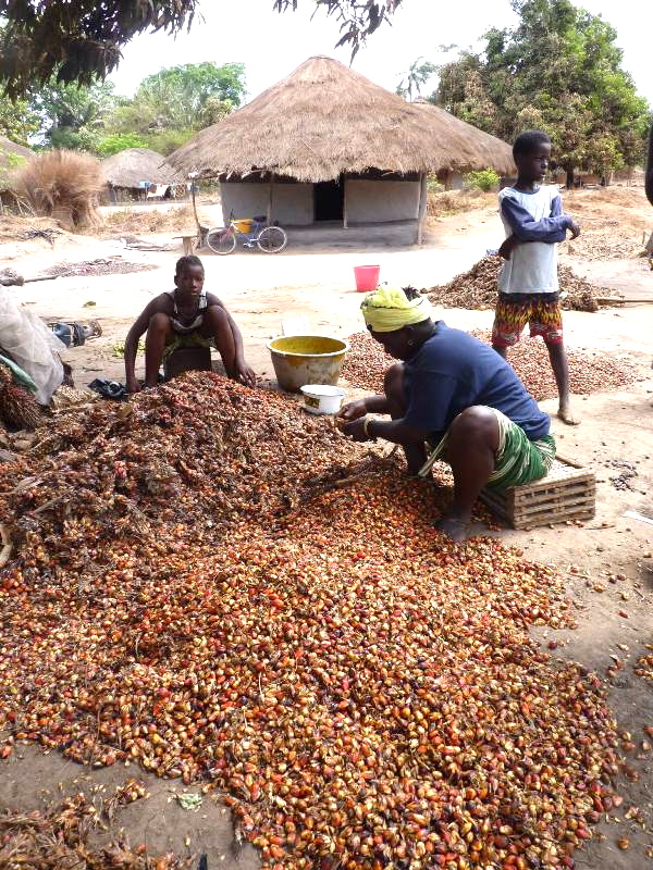 Agriculture - AP HUG