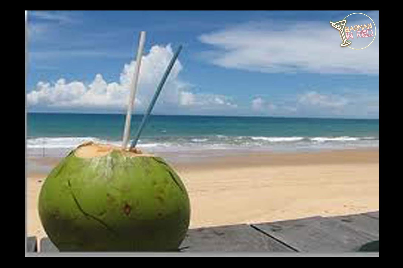 Cocteleria Cubana I: sus Iconos Mundiales, Hemingway, La Bodeguita, El ...