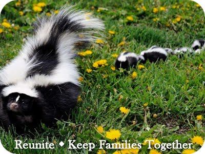 Strathcona Beekeepers' Library: The Beekeepers' Library