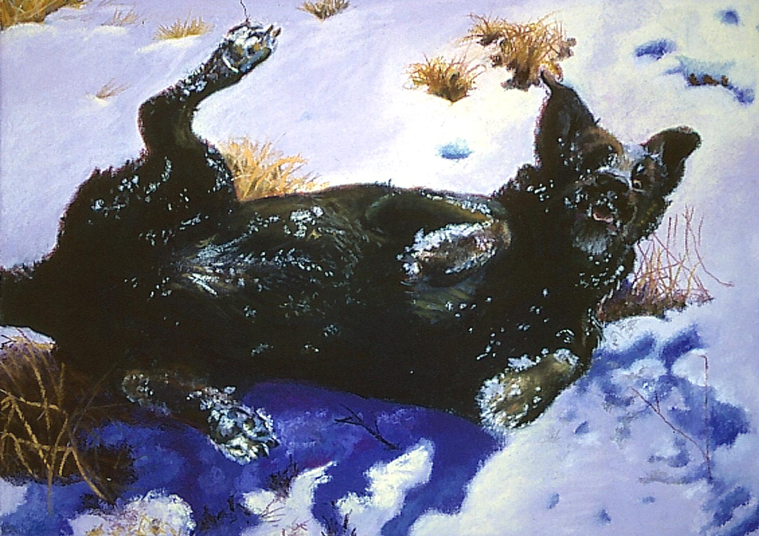 Pastel Artists International: Original Pastel Winter Snow Dog Painting ...