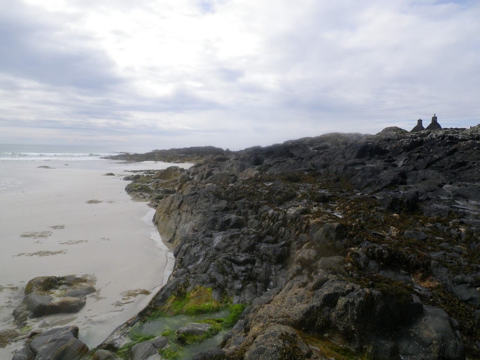 Rock Pooling: Rocky shore of Tiree- The Hebrides