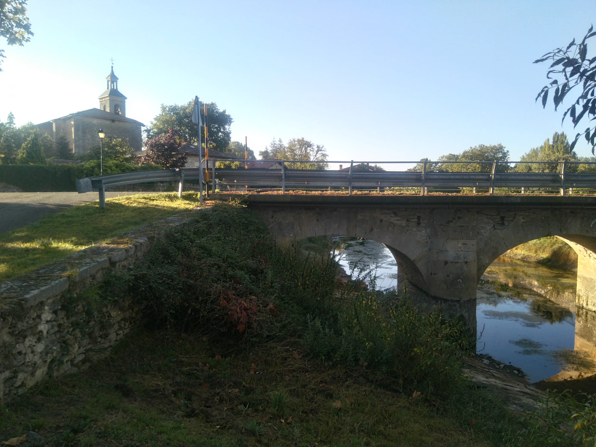 El buitre de Vitoria: FORONDA