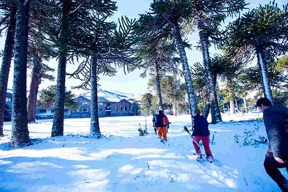 Corralco Mountain Resort and Ski Center