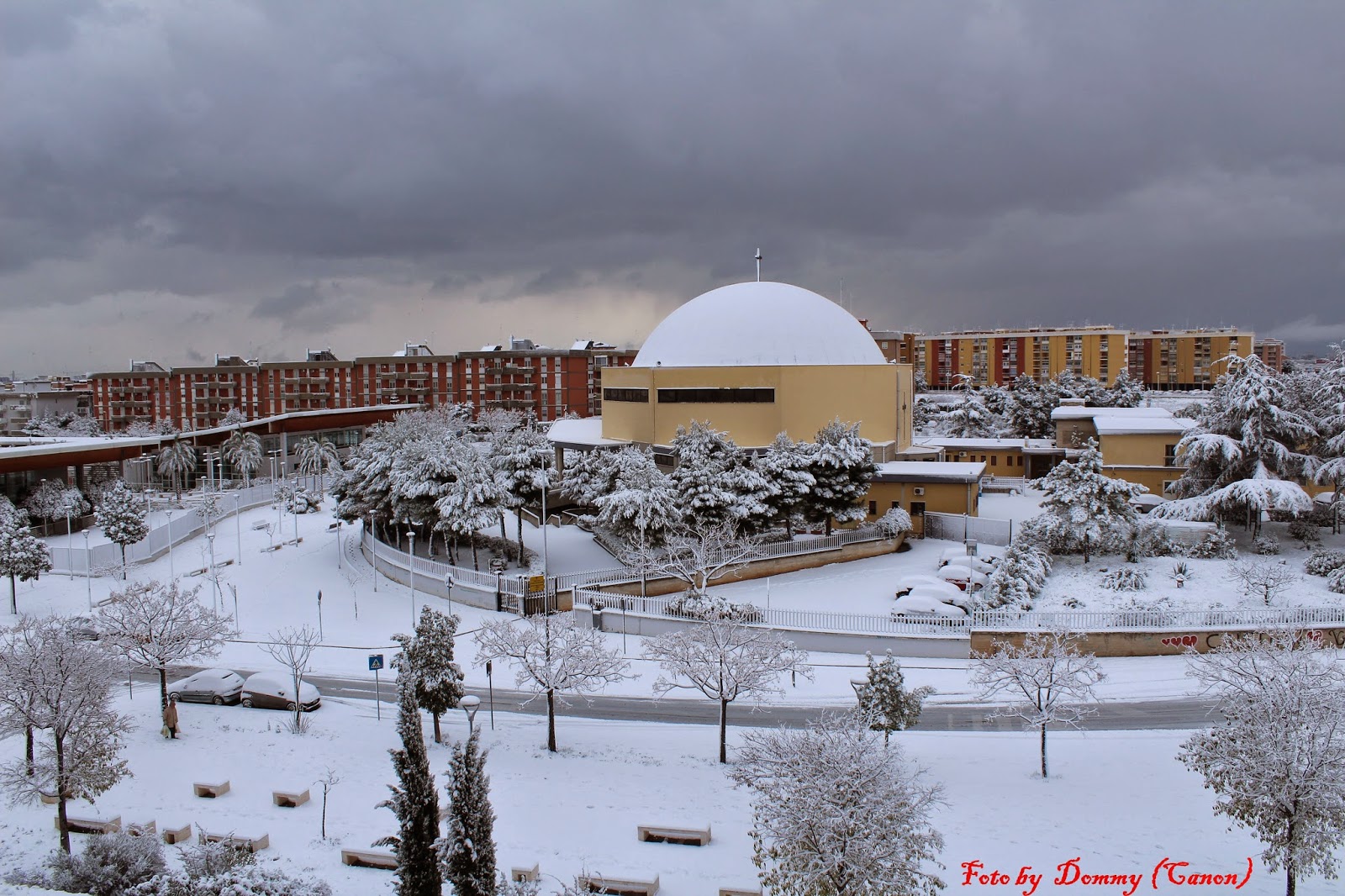 De Renzo Domenico Dante: Neve a Bari (31 Dicembre 2014)