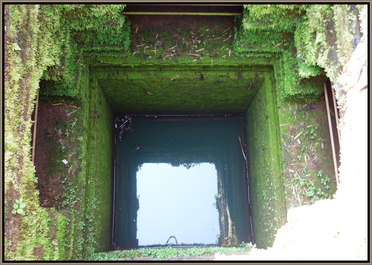 The Voice of Greenery - Trekking and Travelling in Western Ghats ...