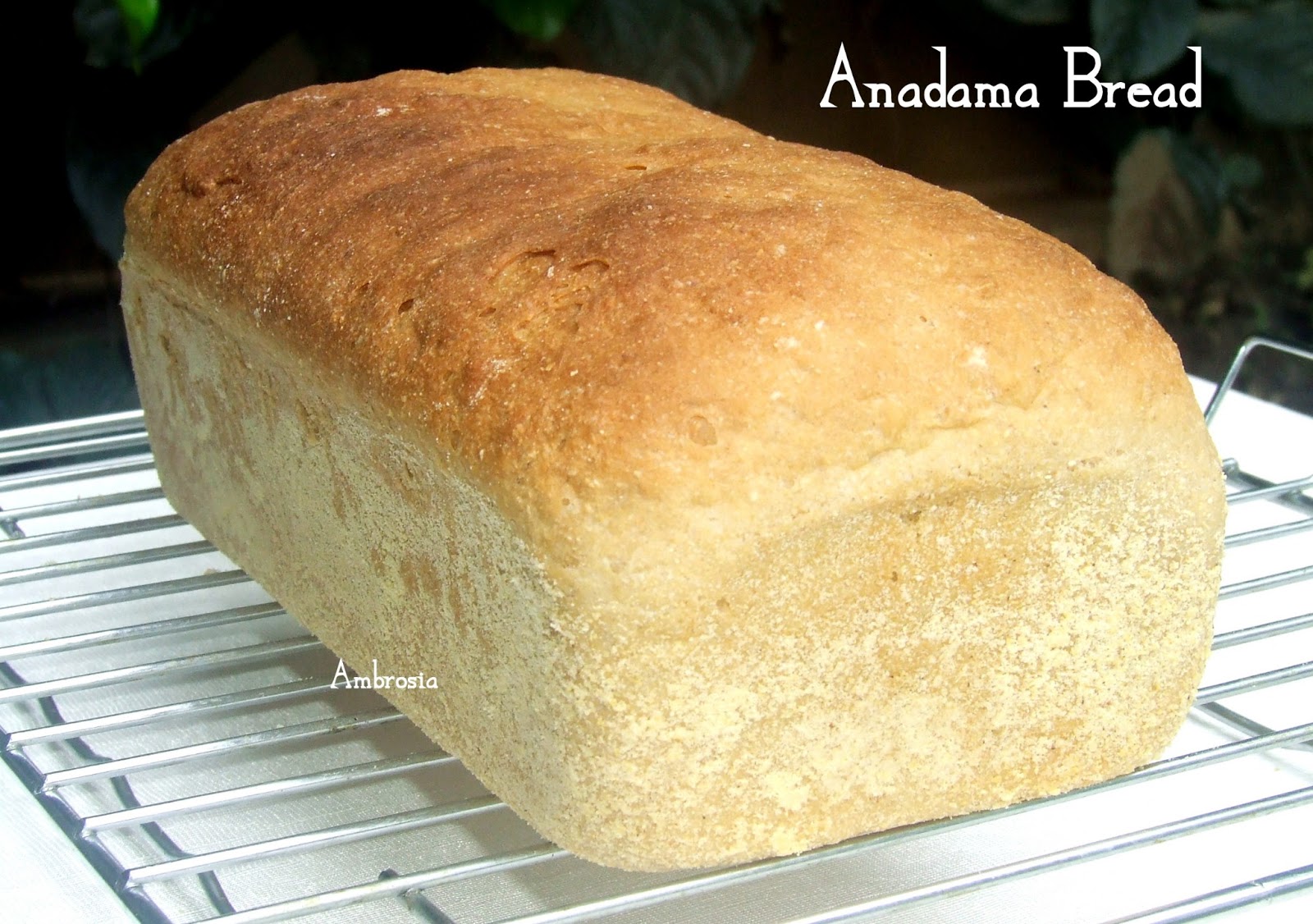 Anadama Bread | Ambrosia