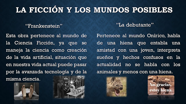 Sirena Copo Line: Módulo 4