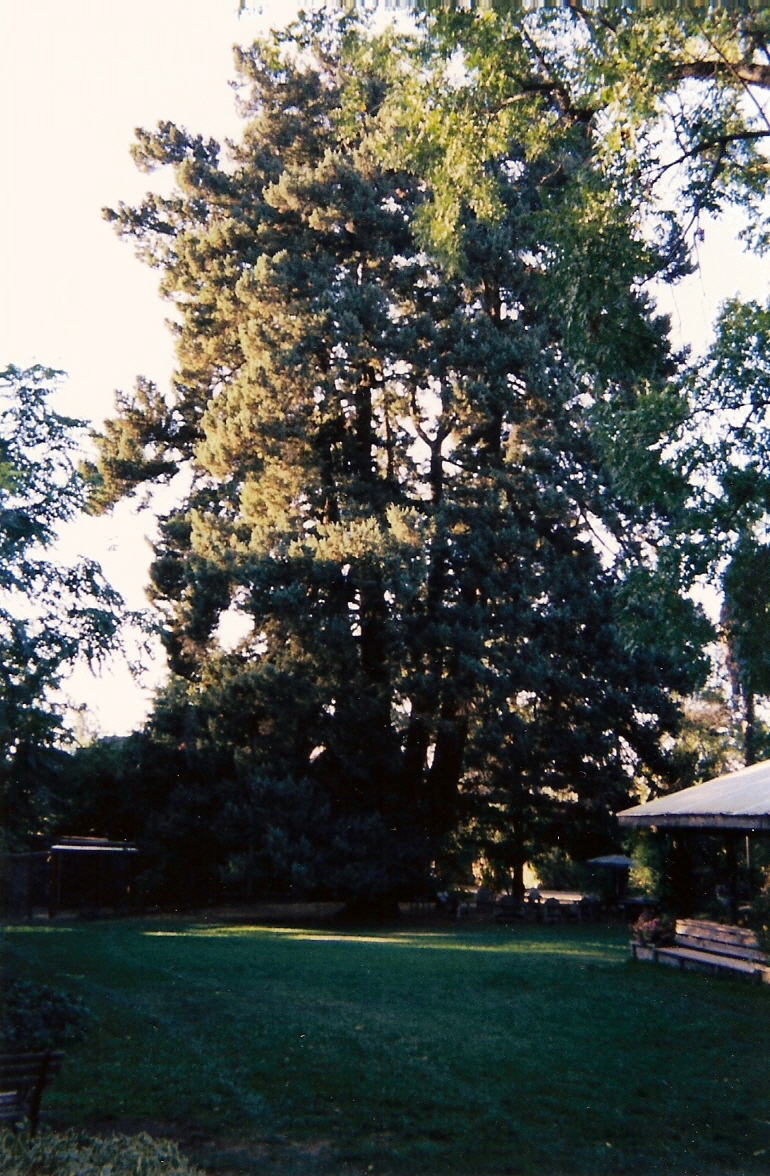 Isis Oasis Sanctuary: History