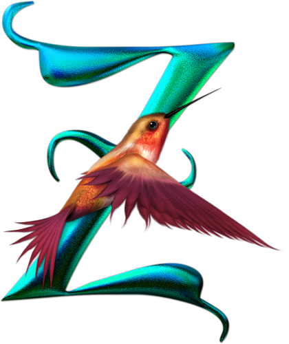 Abecedario de Colibrí. Hummingbird Alphabet. - Oh my Alfabetos!