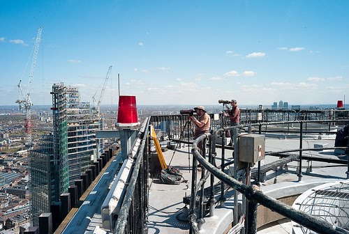 It's Tower 42 season! - The Urban Birder