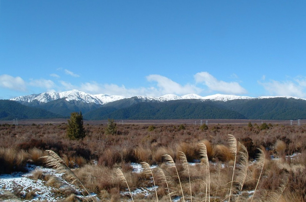 Tramping in the New Zealand backcountry: NZ Bush Adventures: Historic ...