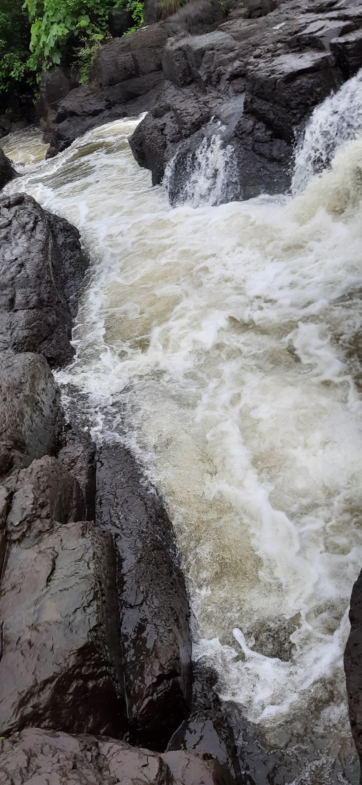 Sharad Pandhare's Educational Blog: Incredible Nature