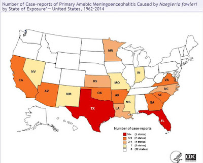 Avian Flu Diary: MMWR: Epidemiological Investigation Into A Case Of ...