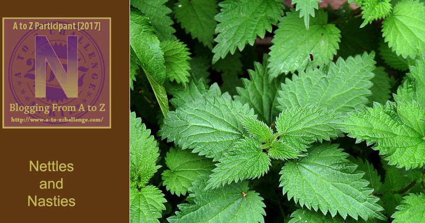 Earlier Years: Nettles, nasties and netball