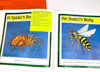 Spiders Main Topic and Key Details Interactive Read Aloud | The ...