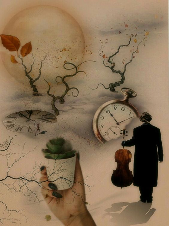 LA NOVELA: Puerto soledad (Primer combate.La marginación.1era parte)