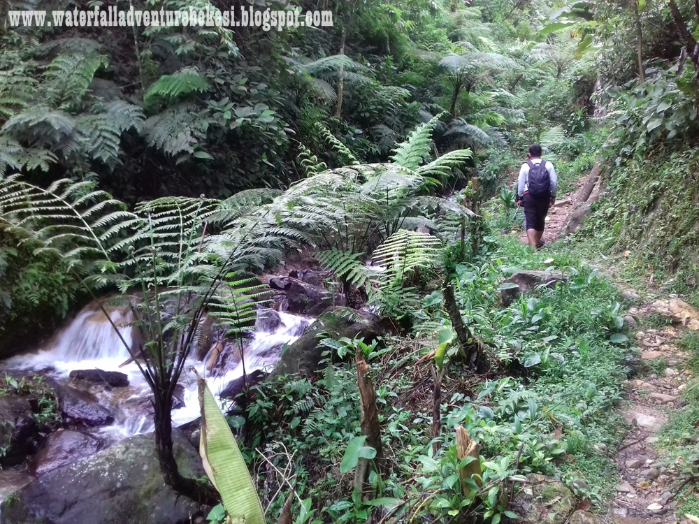 WATERFALL ADVENTURE BEKASI: TRIP TO CURUG SADERI, CURUG CIMANGLID & AIR ...