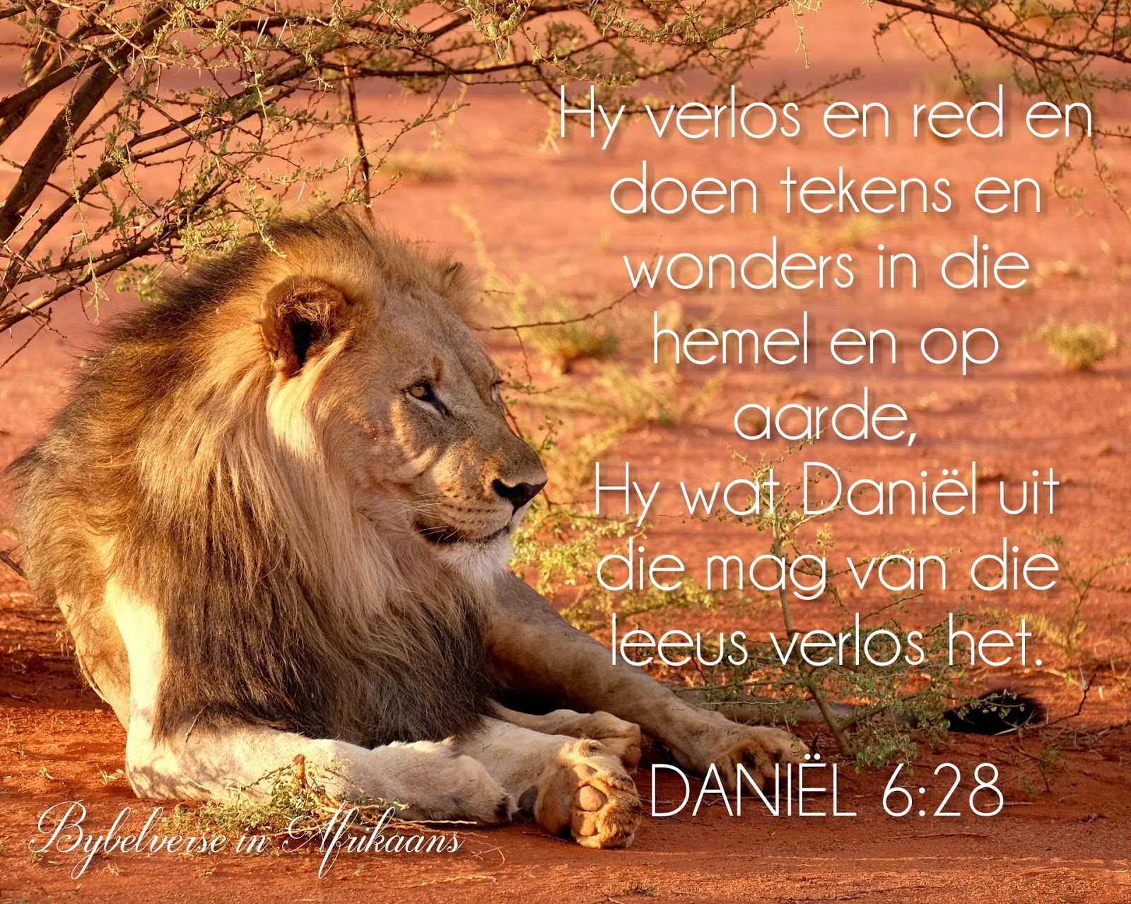 Afrikaanse Bybelverse: 2019