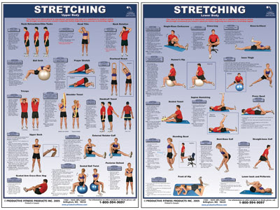 basketball training library: streching, important factore in basketball ...