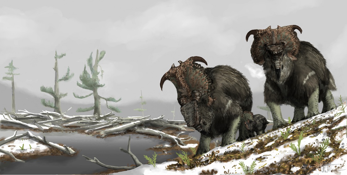 Prehistoric Beast of the Week: Interview with Paleontologist: Mark Witton