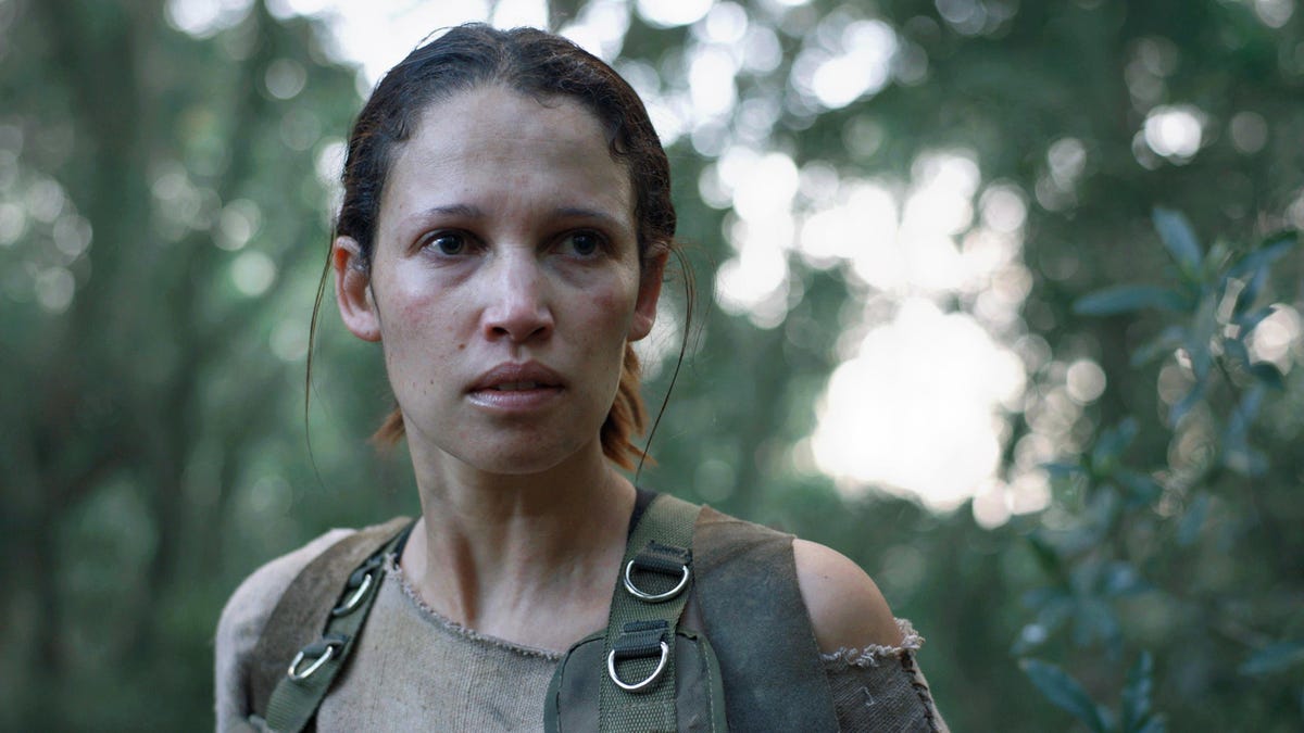 The Movie Sleuth: Cinematic Releases: Gaia (2021) - Reviewed