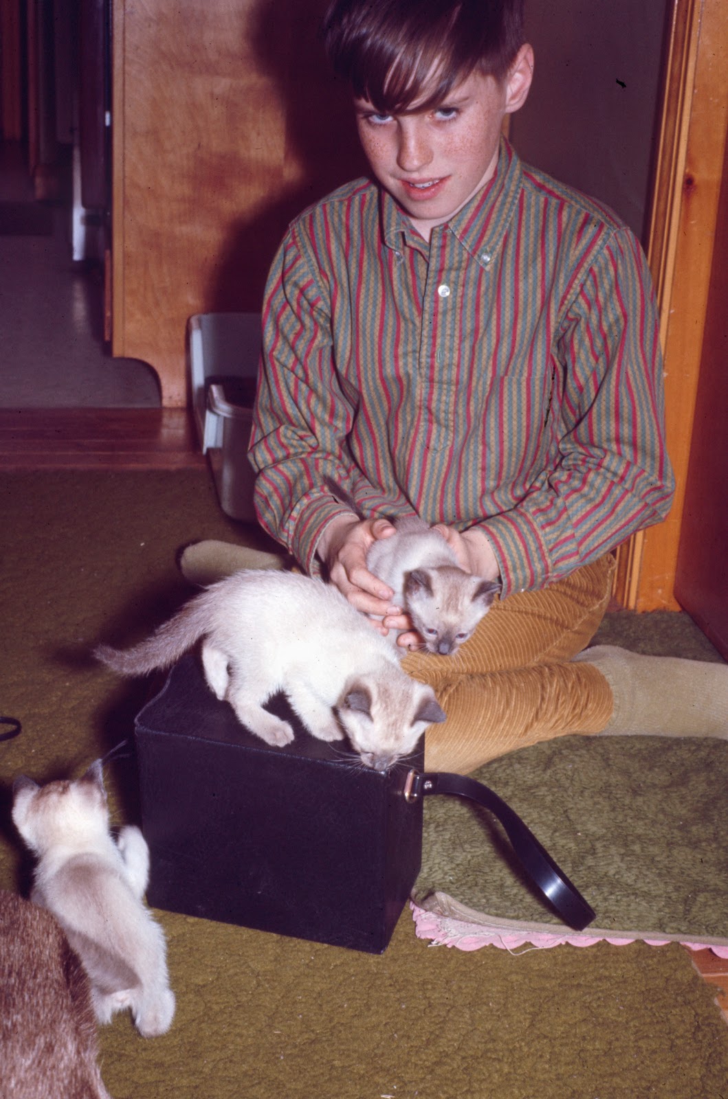 Recover Your Stride: The S.E.R.F. Strap by DonJoy to correct internal ...