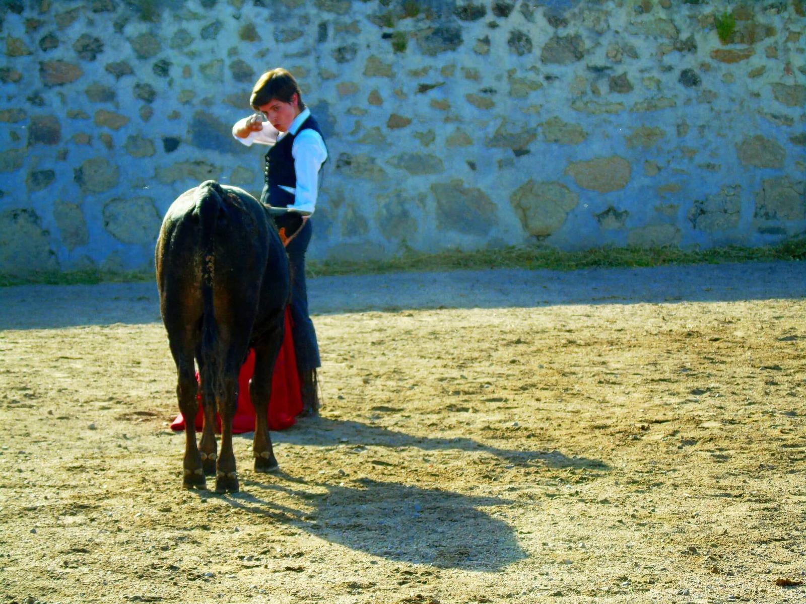 Escuela Cultural de Tauromaquia de Jaén: TARDE DE TENTADERO EN LA ...