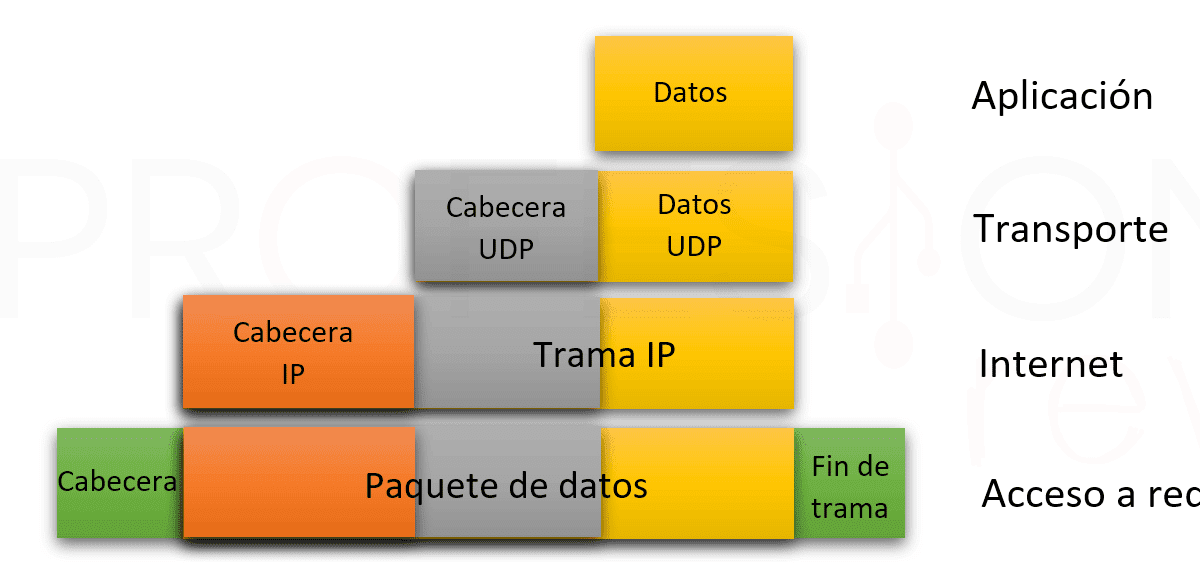 ¤The Seven Codes*´¨) ¸.•´¸.•*´¨) ¸.•*¨) (¸.•´ (¸.•`