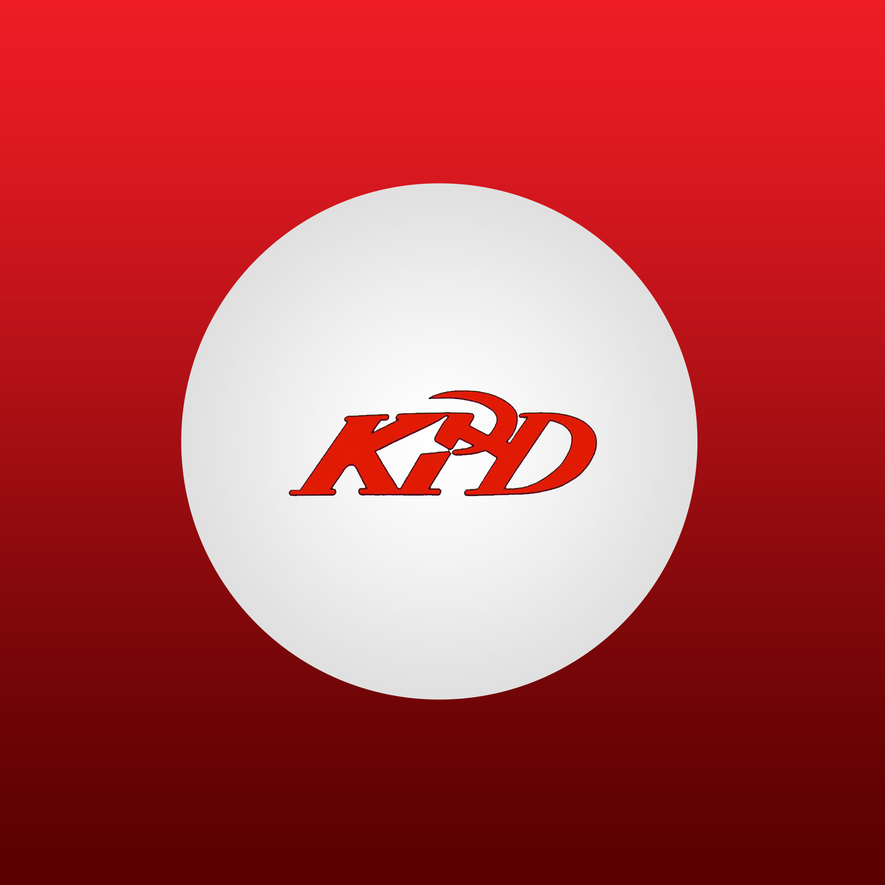 Communist Party in Denmark