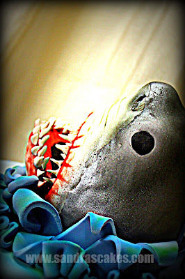 JAWS THEMED BIRTHDAY CAKE
