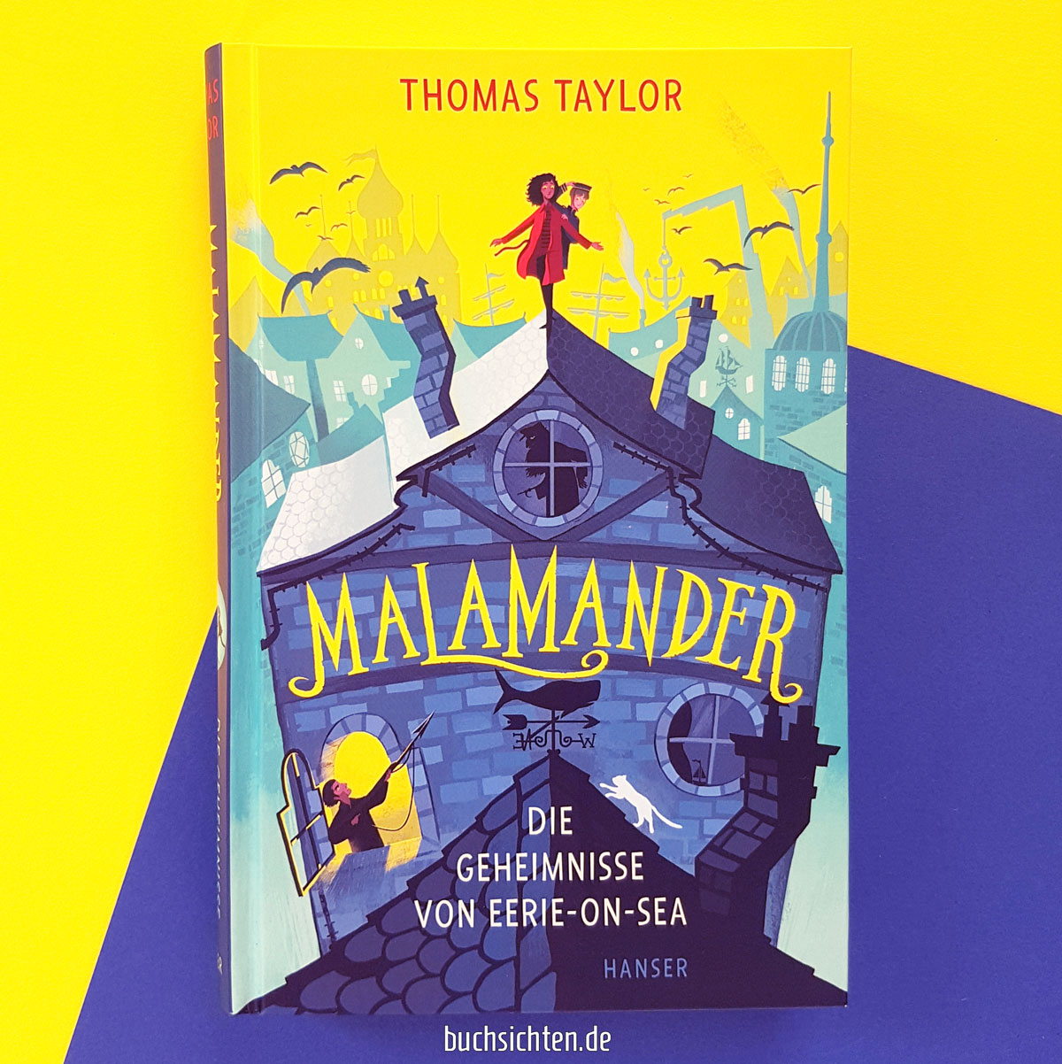 Buchsichten: Rezension: Malamander - Die Geheimnisse von Eerie-on-Sea ...