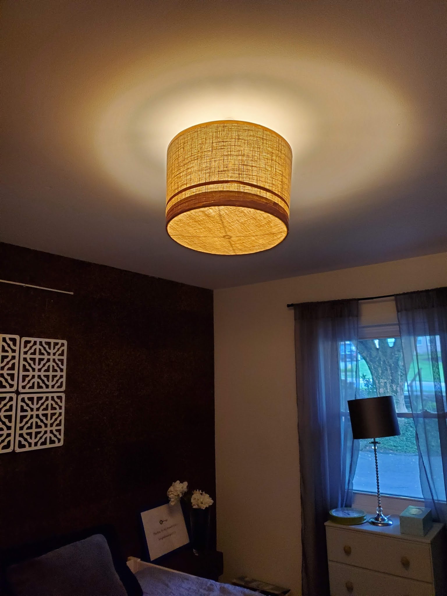 A Girl and Some Paint: DIY Ceiling Lampshade