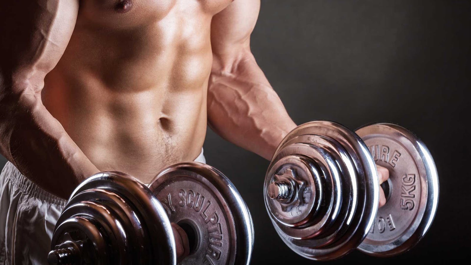 Guia de treino ABC (Avançado)