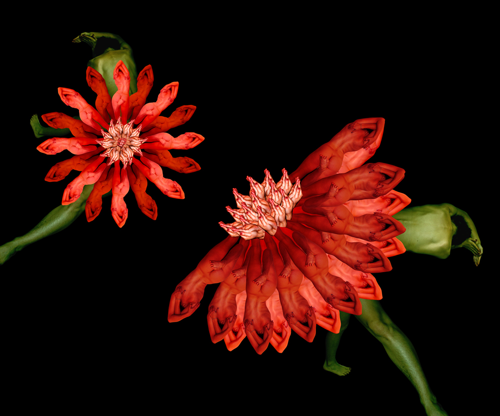 Pinzellades al món: Flors humanes: fotografies de Cecelia Webber ...