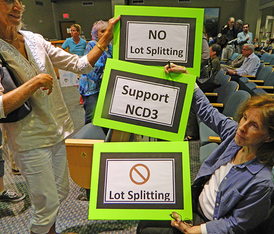 Coconut Grove Grapevine: Stopping lot splitting; one property at a time